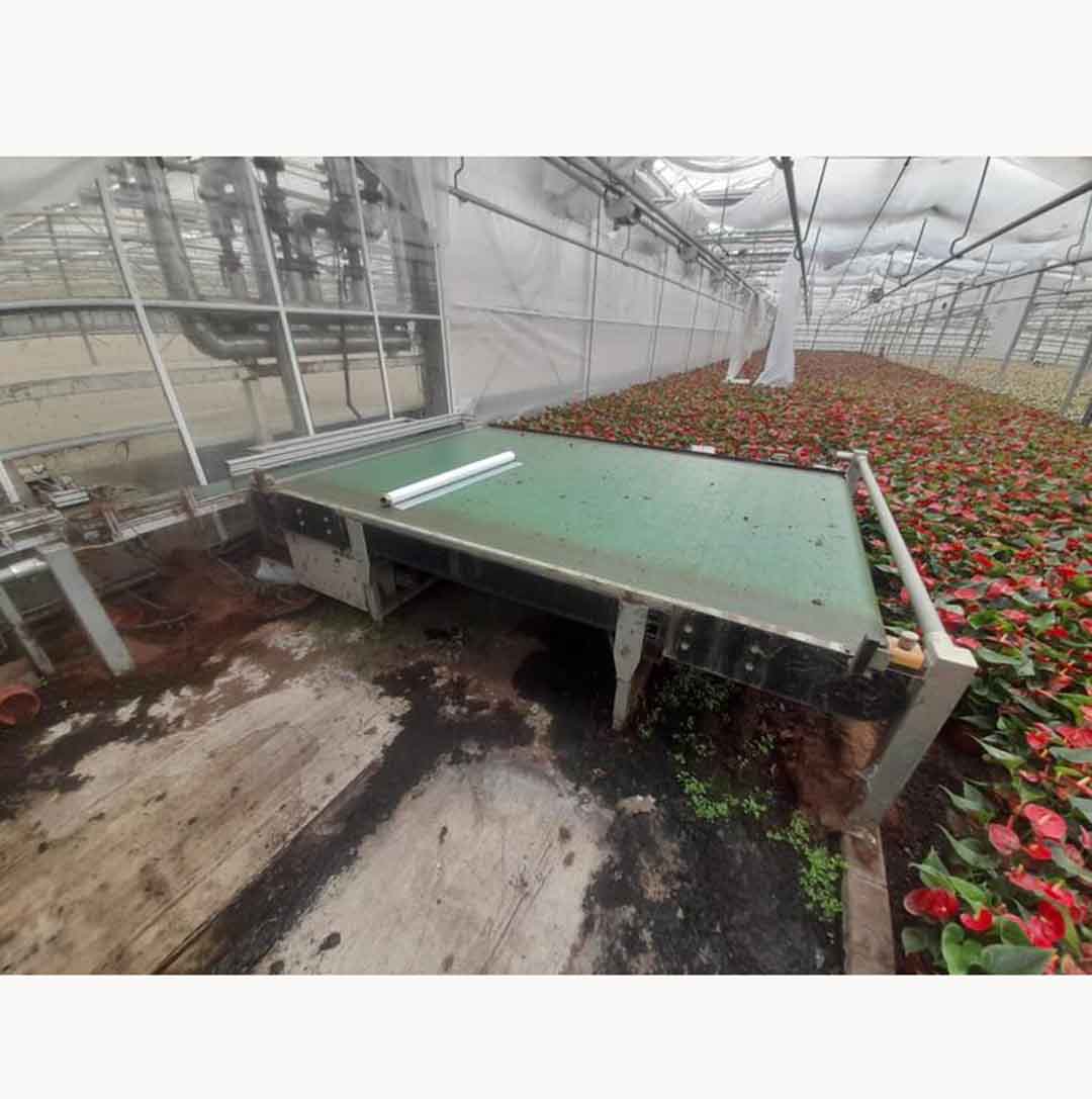 Buffer conveyor complete with infeed conveyors, pusher, and electrical ...